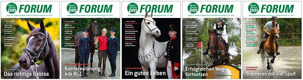 Umfrage PM-Forum | PM-Forum Digital Ausgabe 9/2017