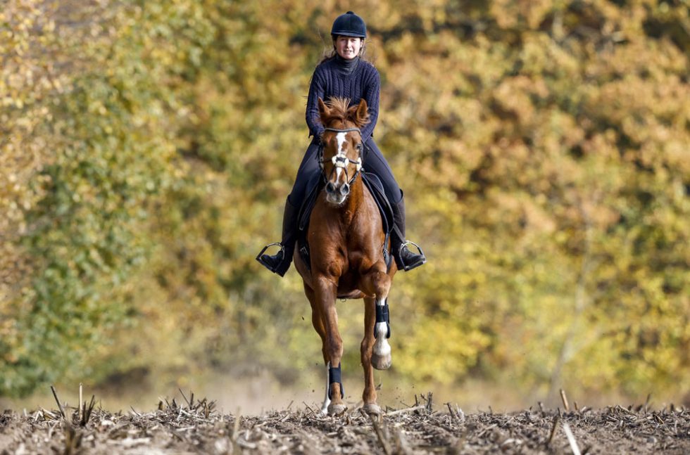 10 Tipps für mehr Gleichgewicht - PM-Forum Digital