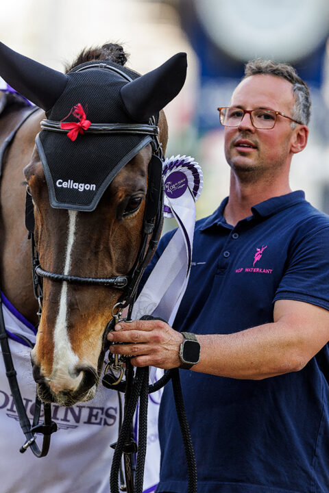 Pferdepfleger im Interview: Sebastian Hasenberg - PM-Forum Digital